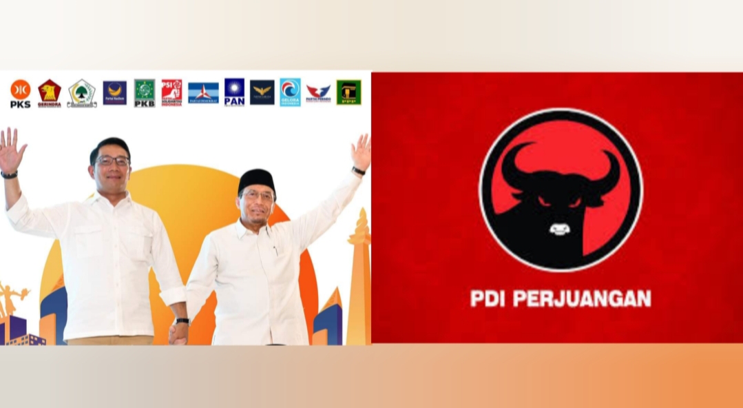 PDIP Pilih Sendiri daripada Gabung KIM Plus di Pilgub Jakarta: is not ...
